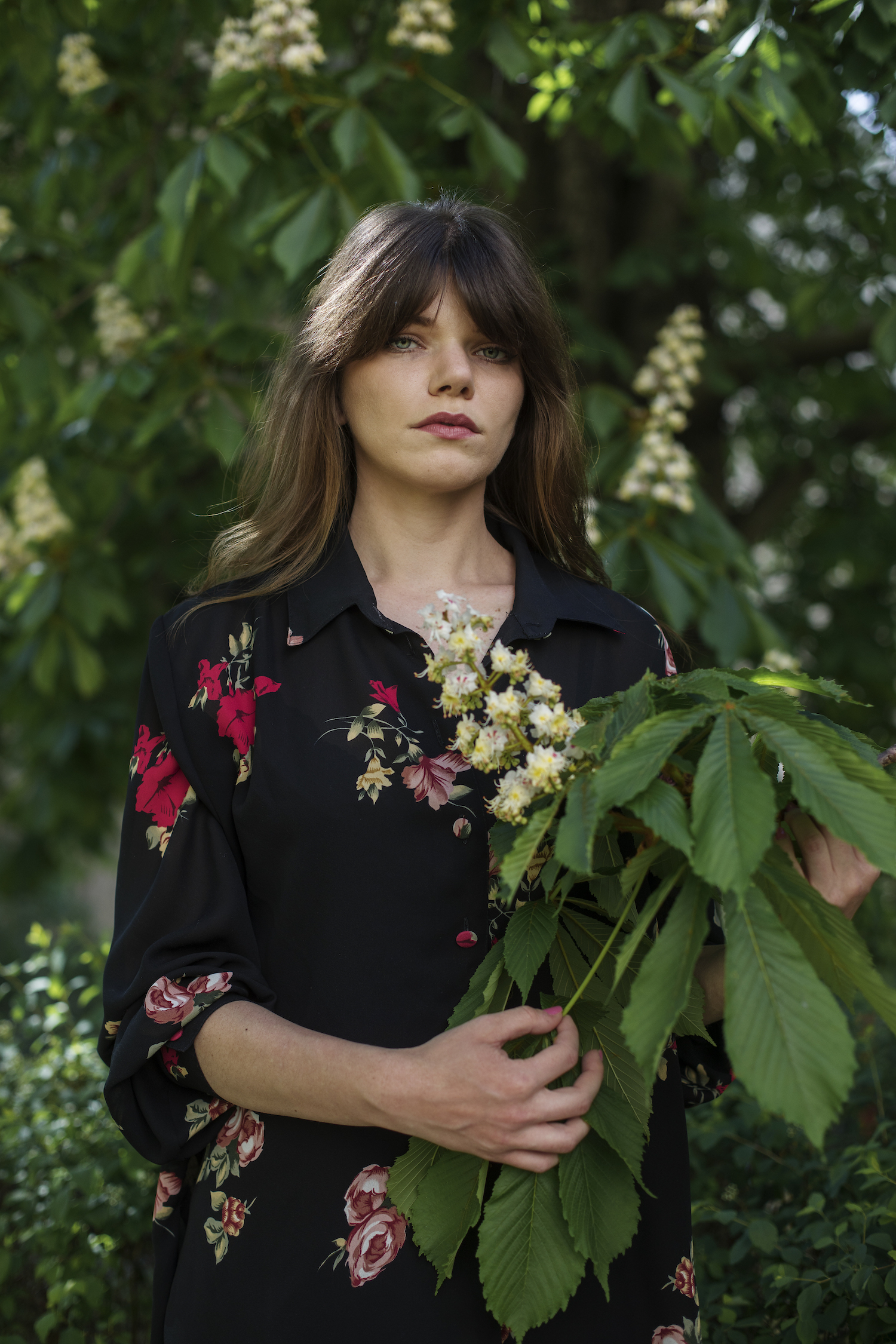 It’s All in the Details: A Peek At Illustrator Kirsten Rothbart’s ...