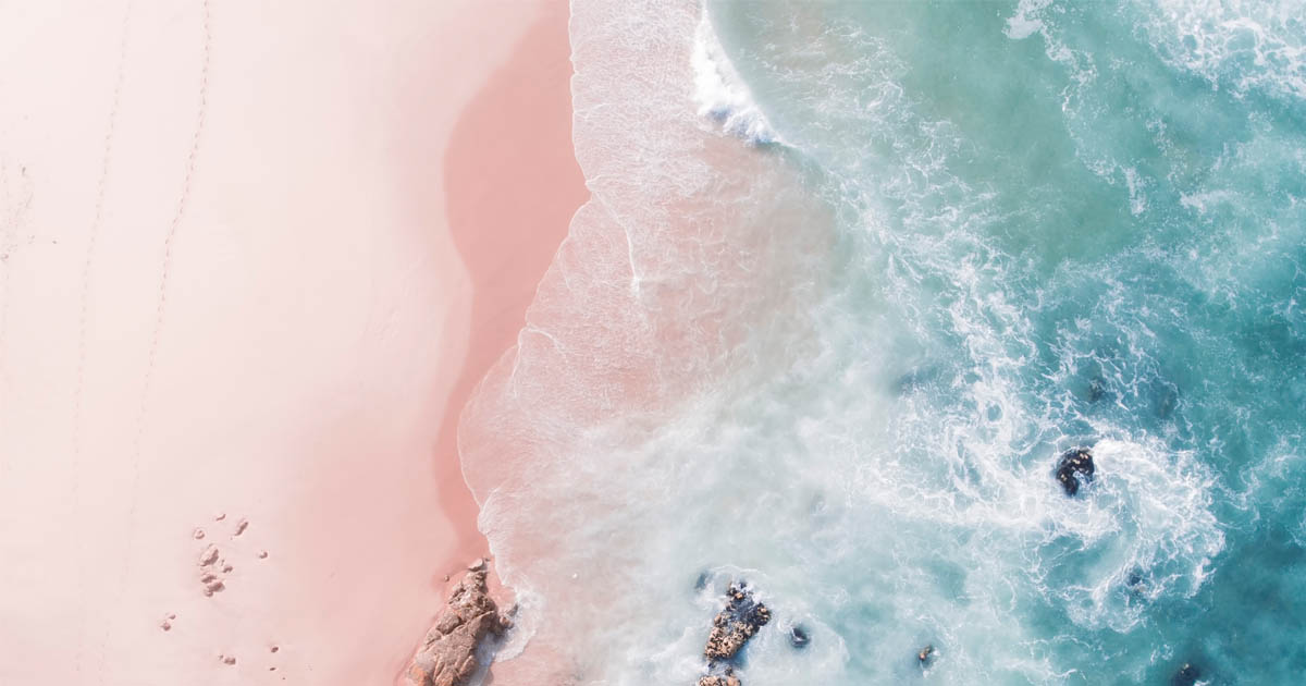 Summer Design Trends (2019) That Any Artist, Illustrator or Designer ...