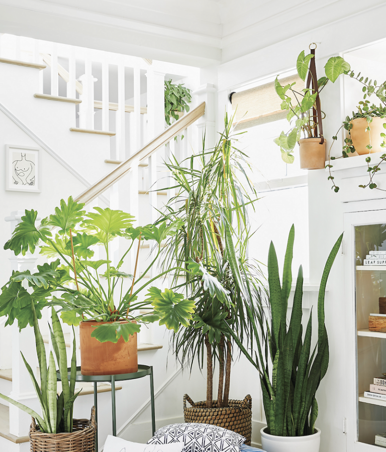 11 Corner Decoration Ideas for Your Living Room | Society6